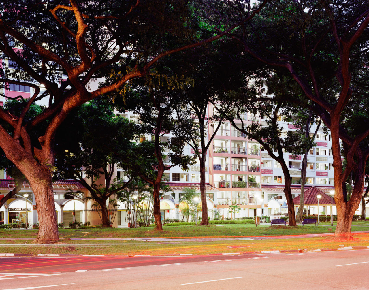 CCC - Christophe Caudroy Photographe